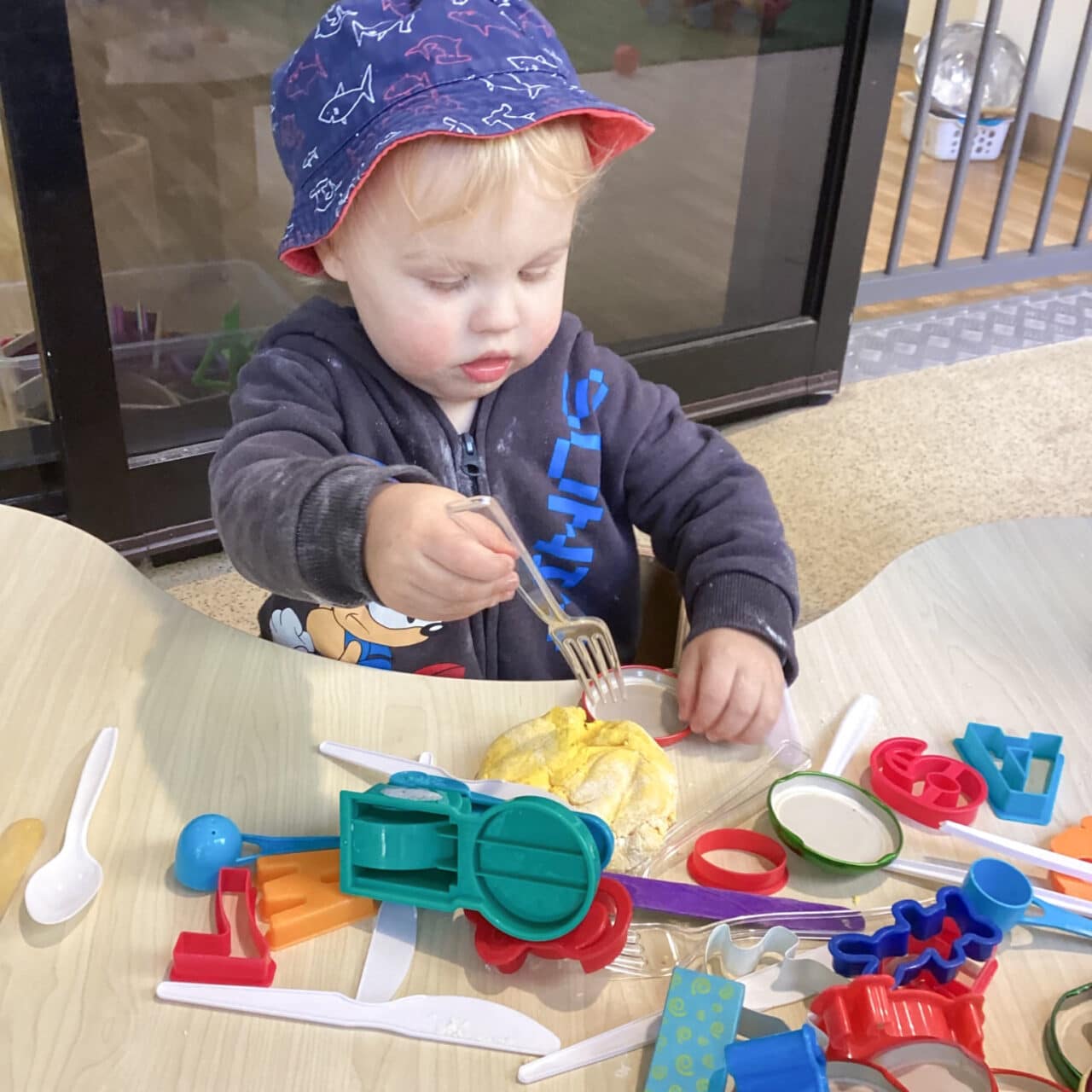 Benefits of Kindy at canopy Early Education
